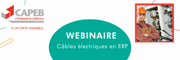 Webinaire Métiers de l'Electricité ・ CAPEB